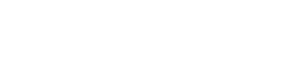 Washington Liberation Front Explained - TheLastOfUs.tv